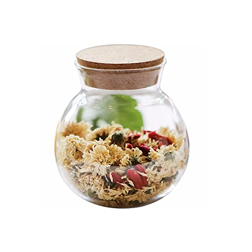 Snminetal 17oz Glass Jar Storage Containers,Wedding Candy Jar Kitchen Canisters, With Cork Airtight Lid, Perfect For Tea, Biscuits, Cereals, Flour, beans, Spices, Coffee Beans (2PCS)