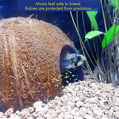 SunGrow Coconut Hut for Crested Gecko, 5x3 Inches Reptile Climbing Hide, Leopard Gecko Tank Cage Habitat Accessories, Smooth-Edged Coconut Shell, for Exercise, Crawling, Perching and Basking Spot