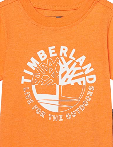 Timberland baby boys 2 Pieces Tee Shorts Set, Scarlet Ibis, 18M US