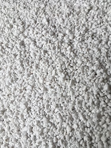 Natural Horticultural Perlite (1 Quart)