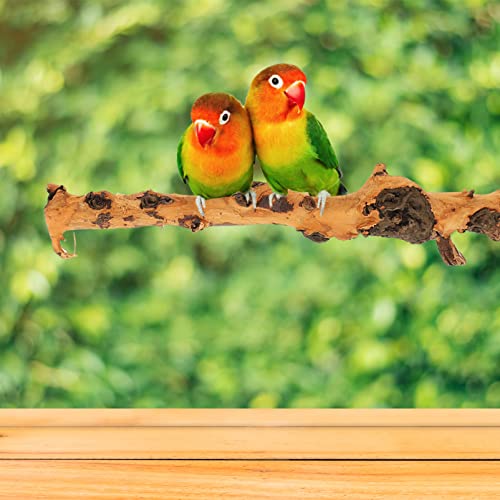 PATKAW Natural Wood Parrot Perch 2pcs Bird Wood Stand Branches Bird Cage Hanging Perch Bird Wooden Chew Toy for Pet Bird Cage Hammock Climbing Toy