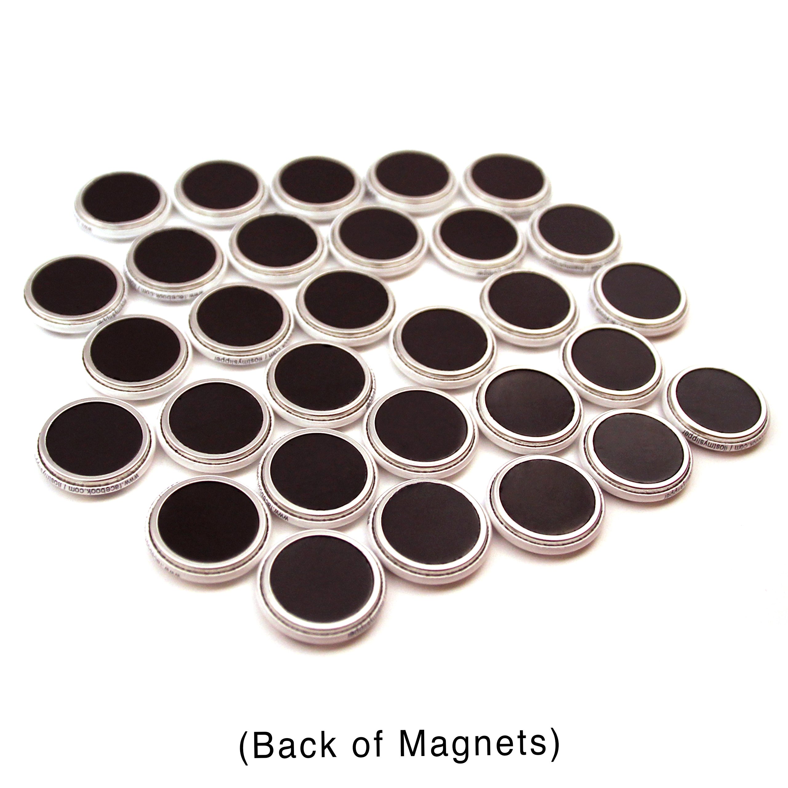 Love Saves Lives Mini Magnets - Rainbow Edition (1" Magnets, 30 Piece Set)