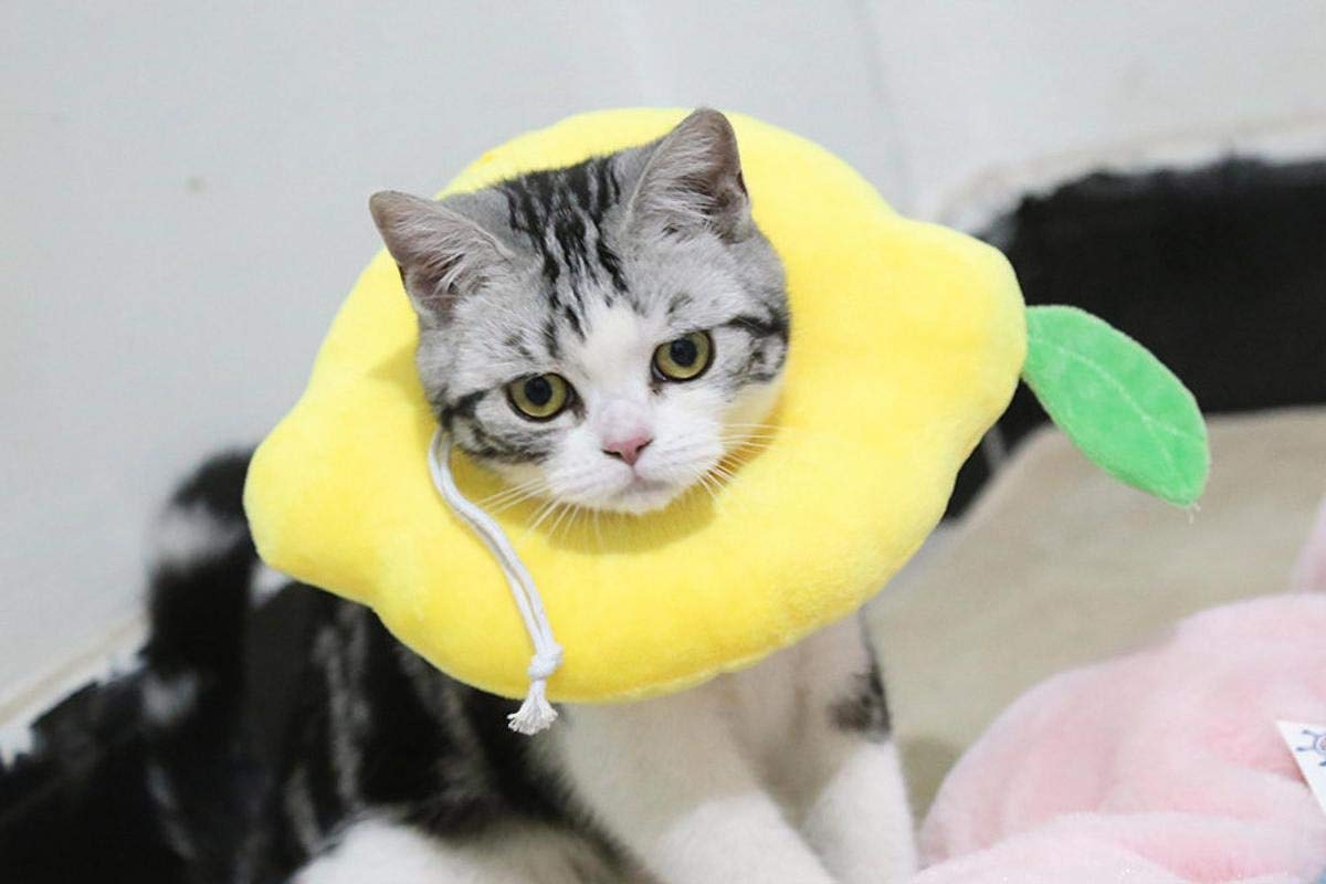 Vehomy Pet Cat Recovery Collar Cat Soft Lemon Neck Cone Adjustable Pet E Collar After Surgery, Wound Healing Protective Cat Elizabethan Collar for Kitten & Puppy