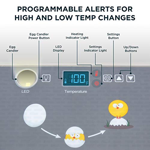 Jumbl Clear Egg Incubator, Fully Automatic Digital Poultry Hatching Machine, Temperature Control & Automatic Egg Turner, LED Candler, Mini 12-35 Egg Incubator Breeder for Chicken, Ducks & More