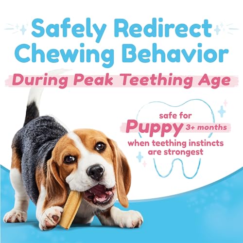 Purina DentaLife Chicken Flavored Puppy Teething Chews 6 oz - 19 ct Pouch
