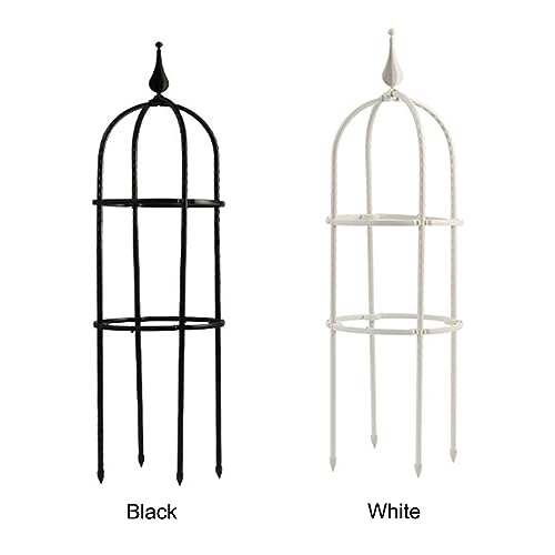 Plant Climbing Frame Natural U-Hoops Plants Stand Adjustable 20 X 60cm Stainless Steel White Black Garden Rose Trellis