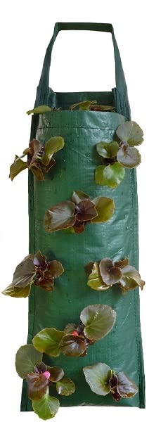 Nutley's Hanging Strawberry Growbag Planter (Pack of 2)