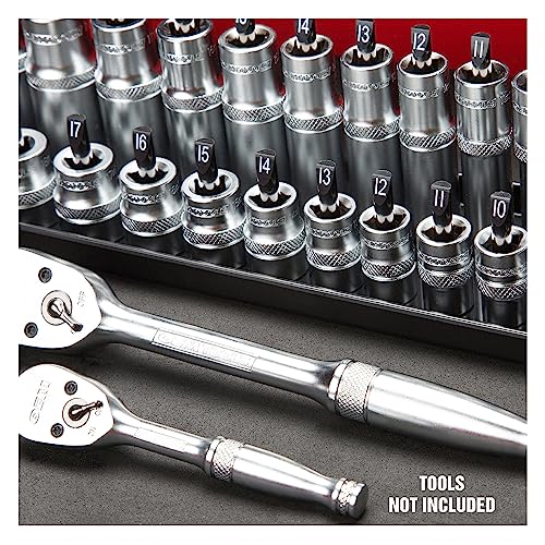 OEMTOOLS 22209 Metric 3/8 Inch Drive Socket Tray, Tool Organizers, Socket Set Organizer, Socket Holder Tray, Socket Rail