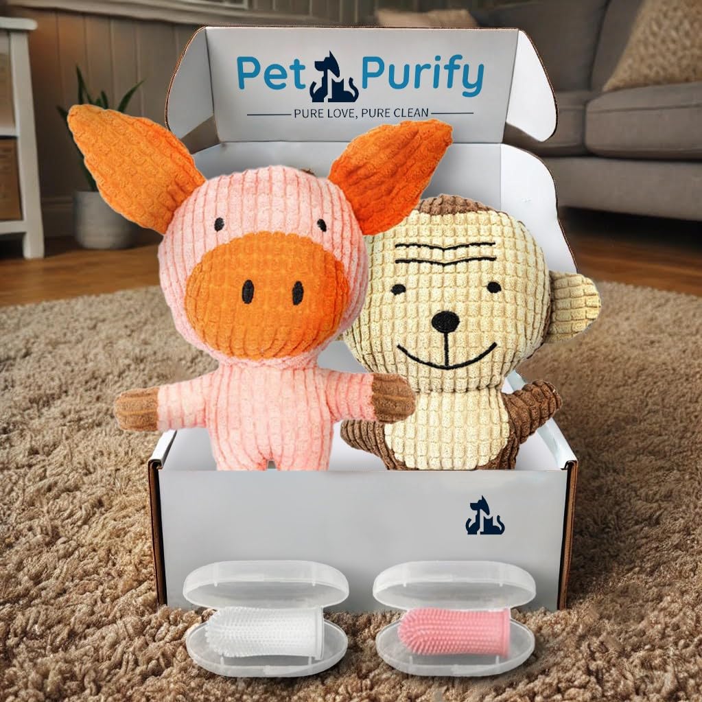 Pet purify Dog Toy, Interactive and Chewable, Ideal for Small and Medium Breeds. Dental Cleaning Toy Keeps Your Pet Busy. Plush toys. Squeaky Toy. 2 Soft Bristle Dog Toothbrushes. (Monkey and pig)