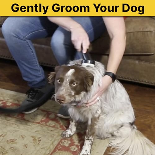 Shop-Vac 9190400 1.1/4-Inch Dog Grooming Tool,Black