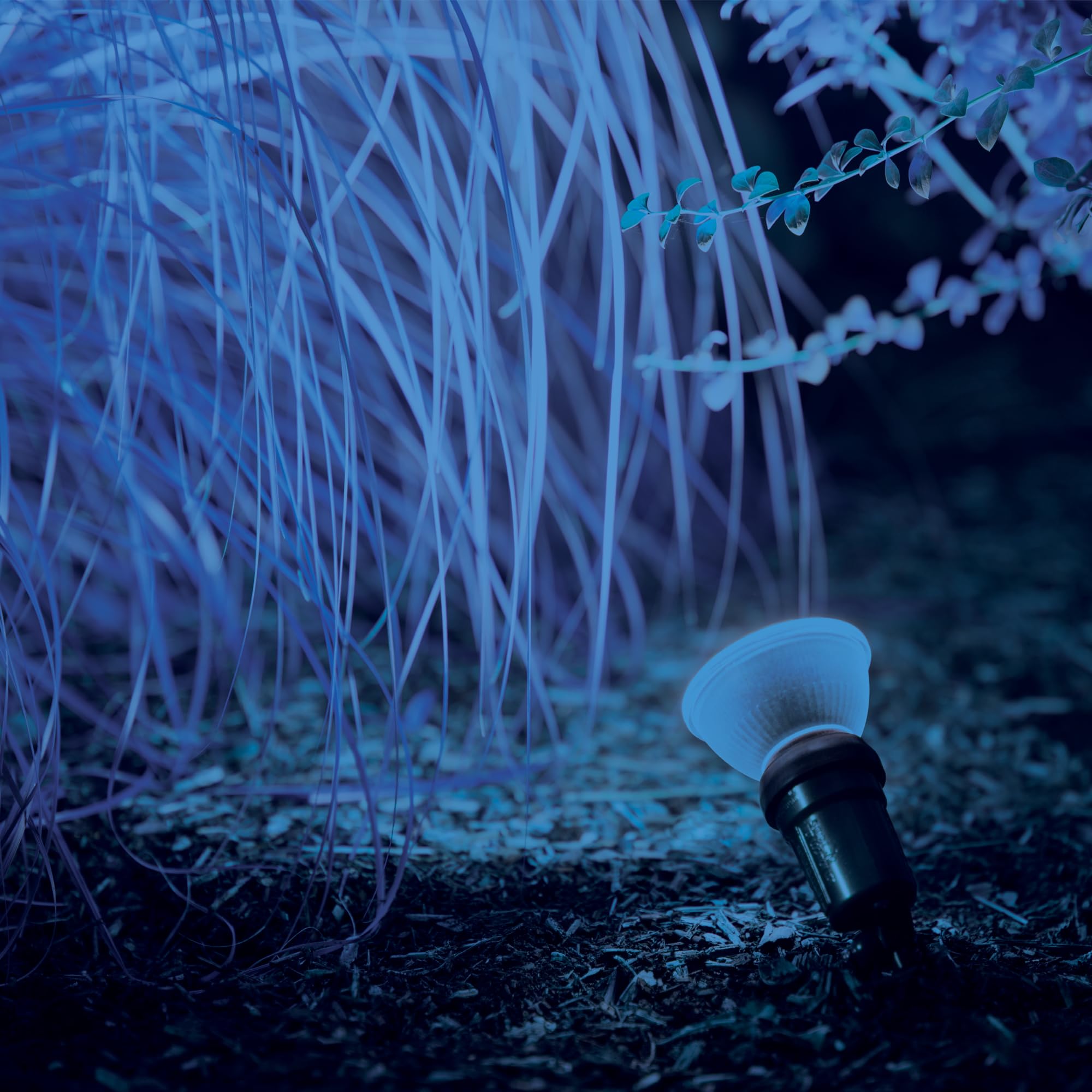 PHILIPS PAR38 LED Flood Blue 3-Pack