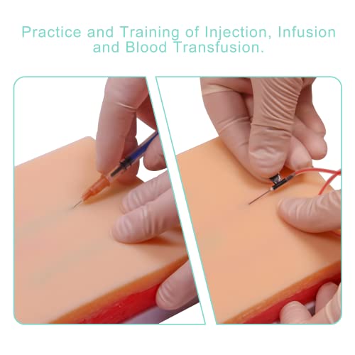 Venipuncture Practice kit Phlebotomy IV Insertion, Blood Draw, Injection, Venipuncture Techniques for Students to Practice Perfect IV,Medical Educational Teaching Model Not Included Practice Needles
