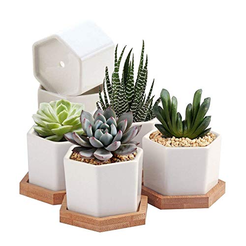 OAMCEG 6 Pack Succulent Plant Pots 2.75 inch Mini Succulent Planter, Set of 6 White Ceramic Succulent Cactus Planter Pots with Bamboo Tray (Plants NOT Included)