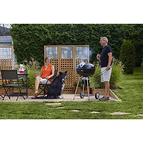 Napoleon NK22K-LEG-2 Built in Grills, Black