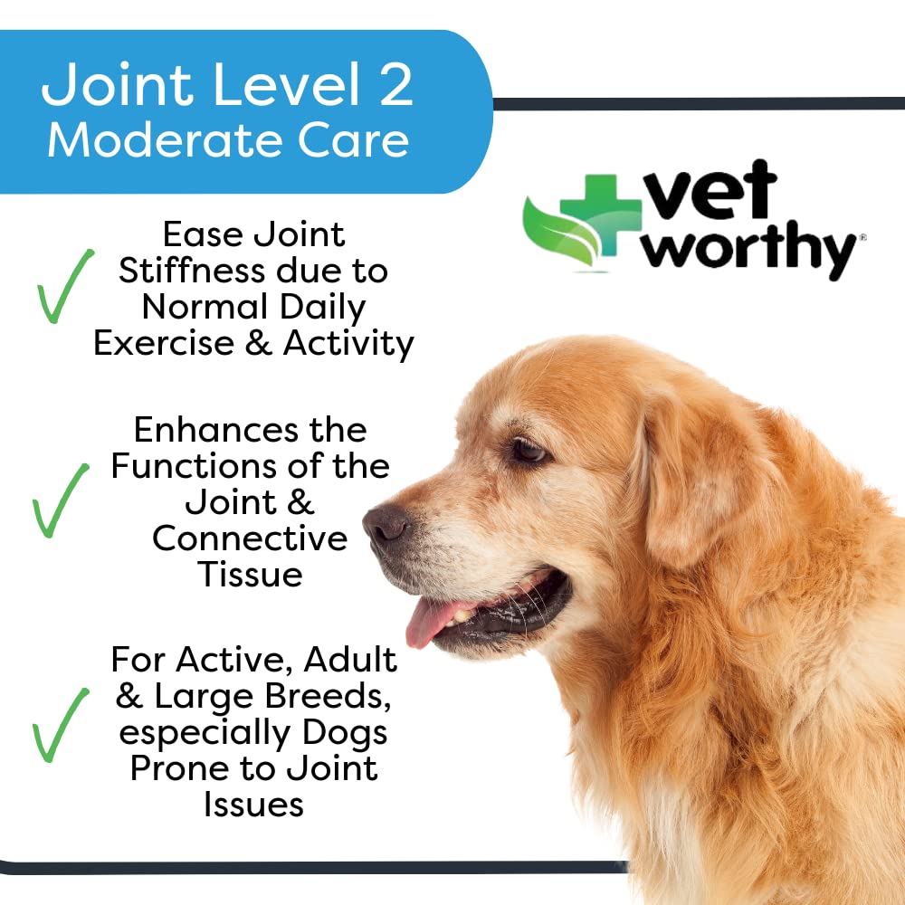 Vet Worthy Joint Support Level 2 | Eases Joint Stiffness Due to Normal Daily Exercise and Activity | Dog Supplement with Glucosamine, Chondroitin, Vitamin C, MSM | Liver Flavor Soft Chews 30 Count