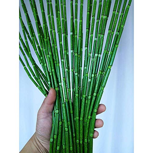 OKUOKA Beaded Door Curtains for Doorways Wood Bead String Curtain for Room Dividers Green Home Restaurant Hanging Screen Decoration Hanging -29/33/40/45/59/87 Strands (Size : 29 Strands-0