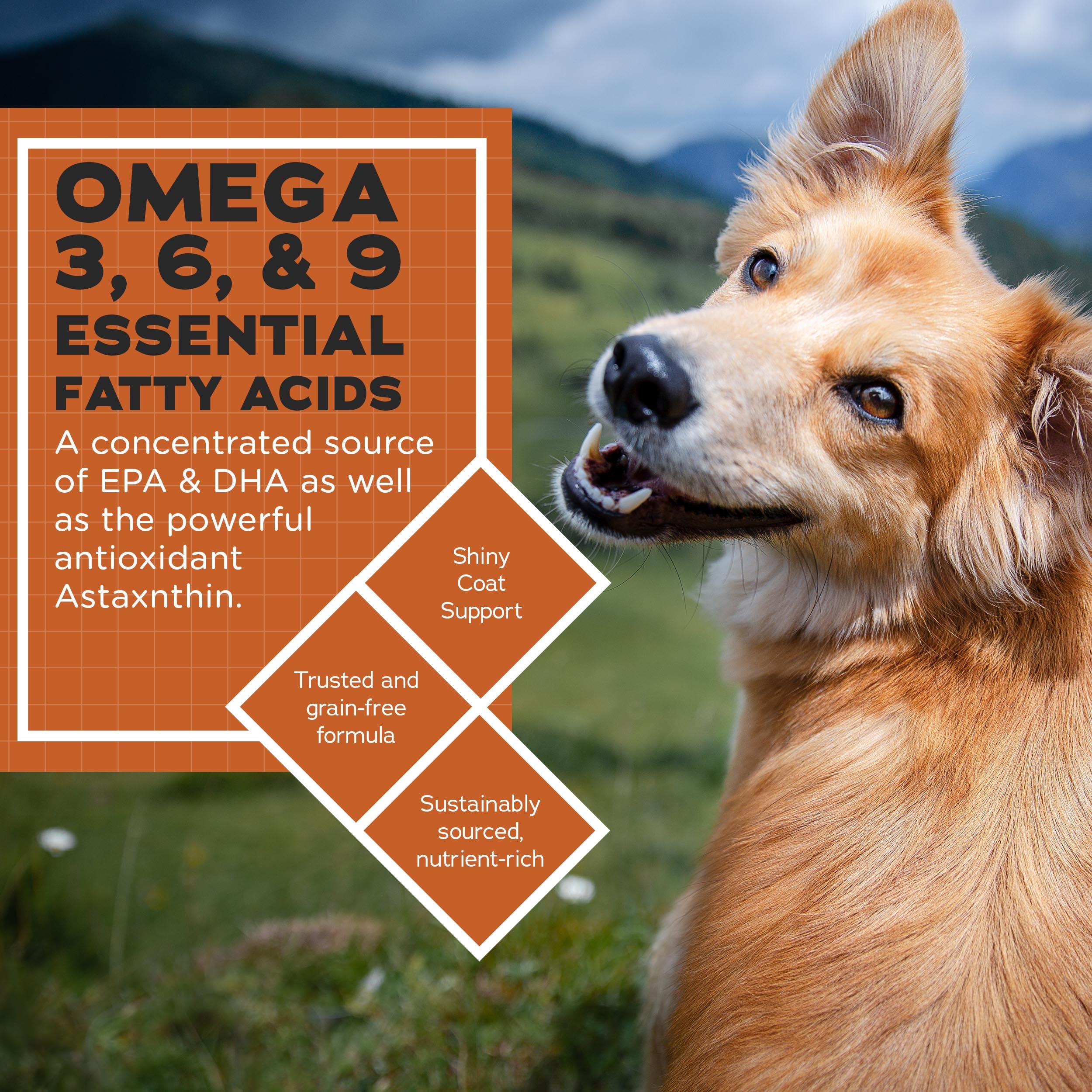 VetWELL Omega 3 Supplement for Dogs with Antarctic Krill Oil, Astaxanthin, Omega 3 6 9, EPA, DHA for Amazing Skin and Coat (60 Count)