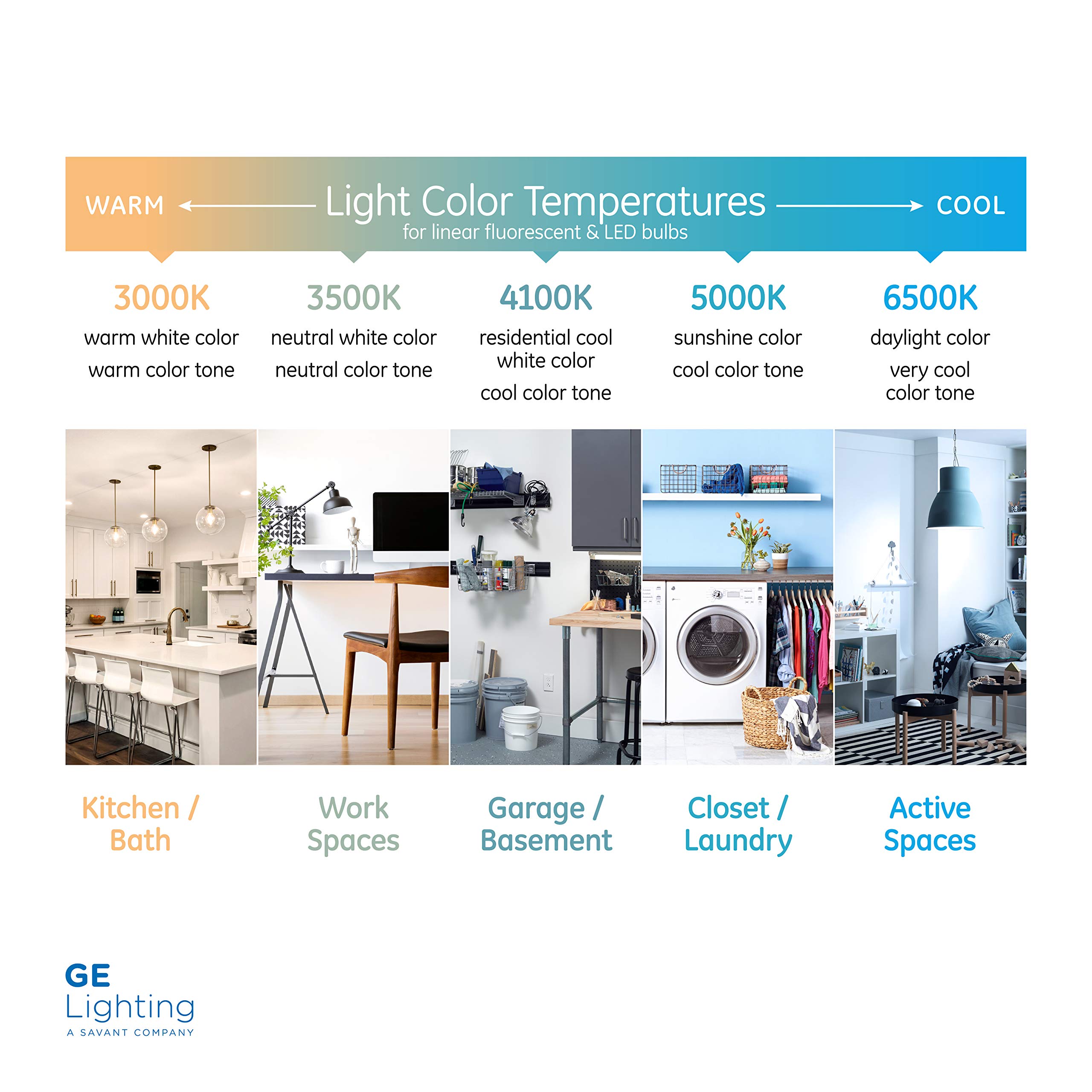 GE Garage and Basement Circline Cool White Bulbs, 8.25 Inch Diameter, FC8 T9 Light Bulbs (1 Pack)