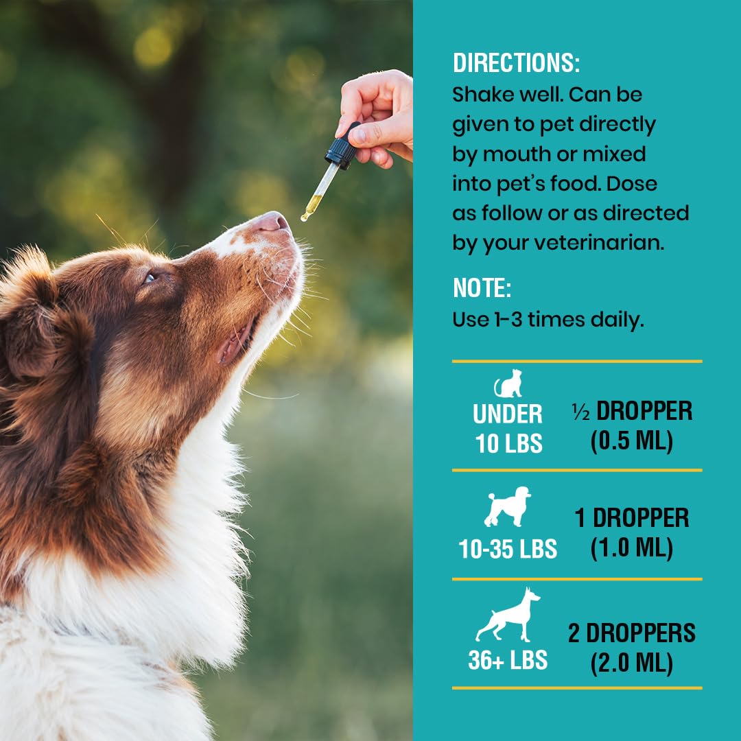 Special Breed Allergy & Immune with Elderberry, Allergy Relief for Cats and Dogs, Anti Itch Treatment, Relief for Pet Allergies, Immune Support for Cat or Dog, 2 oz