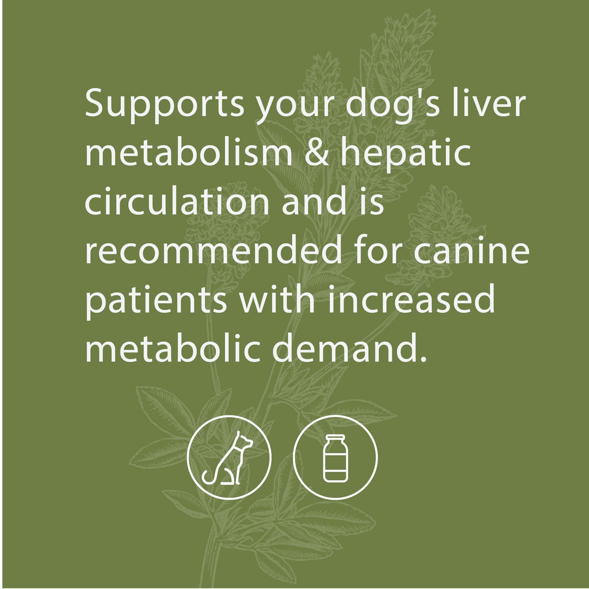 Standard Process - Canine Hepatic Support - Liver Metabolism Support for Dogs - 30 Grams