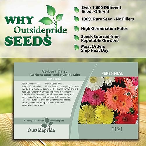 Outsidepride Gerbera Daisy Indoor House Plant or Flower Mix for Outdoor Containers, Pots, Planters, Beds - 100 Seeds