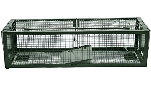 Live Animal Humane Trap 2-Door Mouse Trap Cage for Chipmunk, Rats, Squirrels, Voles, Rodent and Small Size Pests