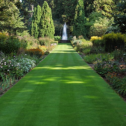 Outsidepride Legacy Fine Fescue Shade Tolerant, Soft, Turf, Lawn Grass Seed Blend - 5 LBS