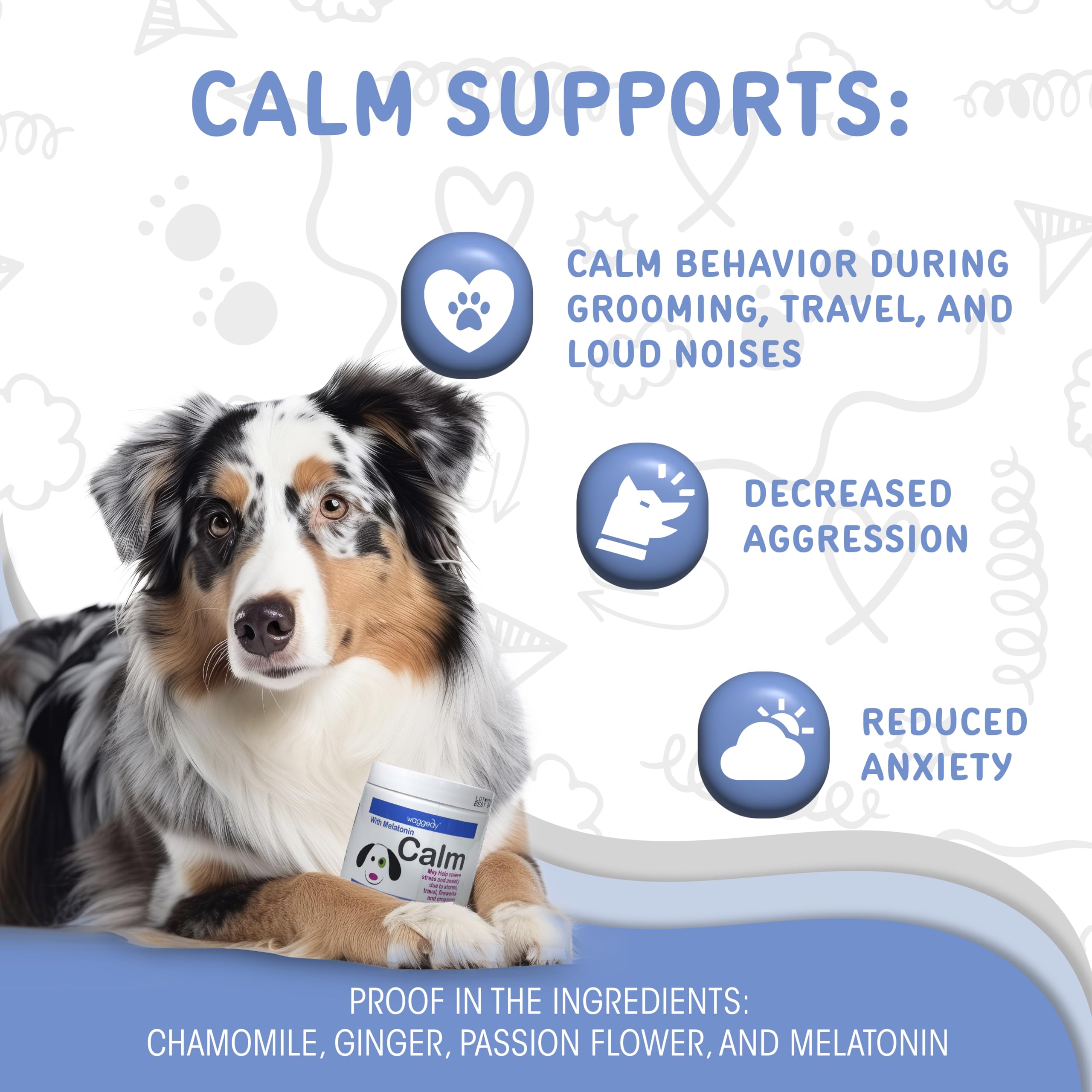 waggedy Great Start Puppy Bundle Multivitamin & Calm Aid – Large or Small Breed Puppy Supplement: Stress, Anxiety, Joint, & Immune System Support (One to Two Month Supply) 120 Puppy Treats