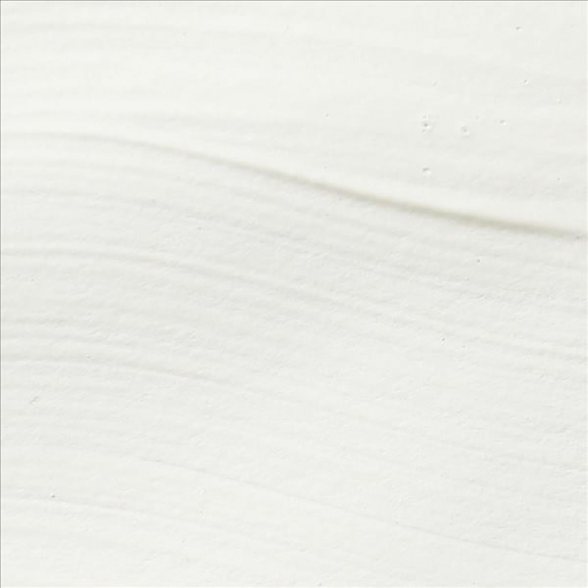 Sax True Flow Heavy Body Acrylic Paint, 1/2 Gallon, Titanium White - 439301, 64 Fl Oz (Pack of 1)