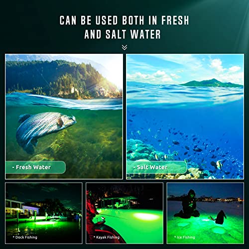Tendelux Underwater Fishing Light, 110V Super Bright Green LED Submersible Light Attractants for Docks, Boats or Kayaks, IP68 Rated for Fresh & Salt Water (30ft Cable)