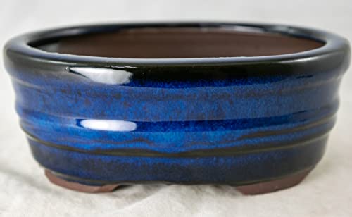 Oval Shohin Bonsai Pot, Cactus & Succulent Planter + Mesh 6"x 4.5"x 2.5" - Blue Stain Glazed