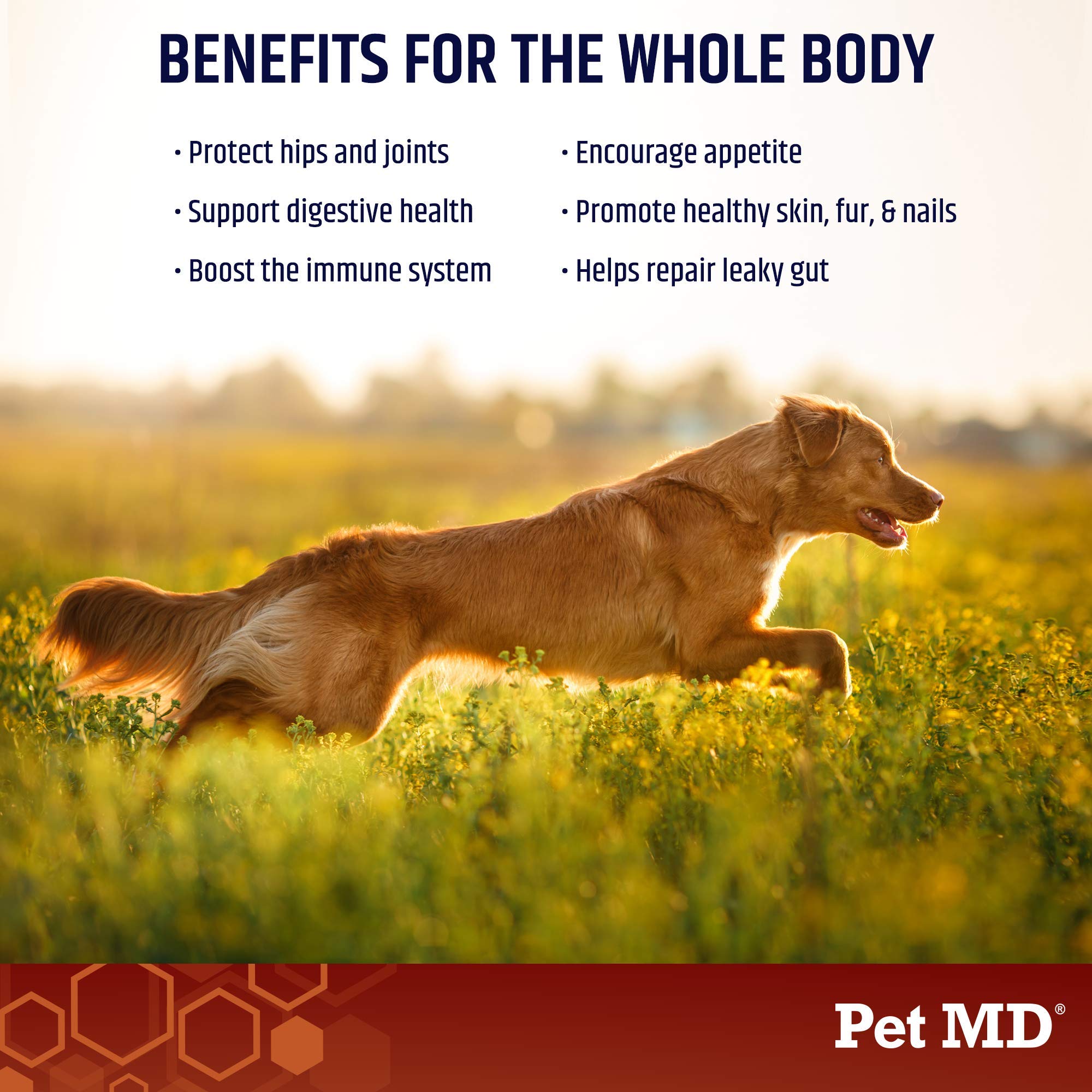 Pet MD Bone Broth for Dogs - Dog Food Toppers with Vitamins, Amino Acids, Natural Joint and Digestion Support - Made from Grade A Free Range Elk Bone Powder - 4 oz