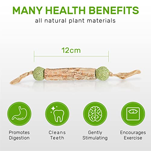 XanderPets Cat Chew Stick - Matatabi Stick for Cat - Silvervine Chew Sticks for Cats - Cat Dental Sticks w/Cat Nips Organic - All Breeds 3PK