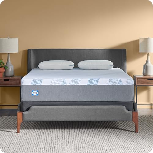 Sealy Dreamlife 12â Foam Mattress-in-a-Box, Full