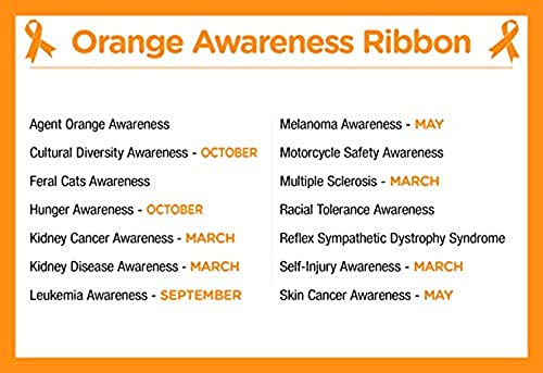 Fundraising For A Cause Multiple Sclerosis Awareness Bangle Bracelet in a Bag (1 Bracelet - Retail)
