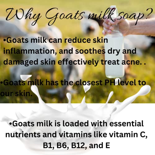 The Alice Gallery Cold Process Soap-Handmade- Goatmilk face and body wash bar/All-Natural Turmeric & Activated Charcoal Tea tree oil/Peppermint