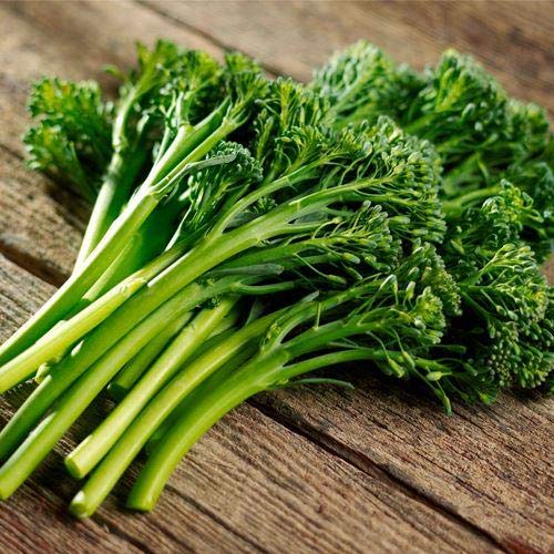 Park Seed Aspabroc Hybrid Broccoli Seeds, Thick Leaves and Fantastic Flavor, Pack of 20 Seeds