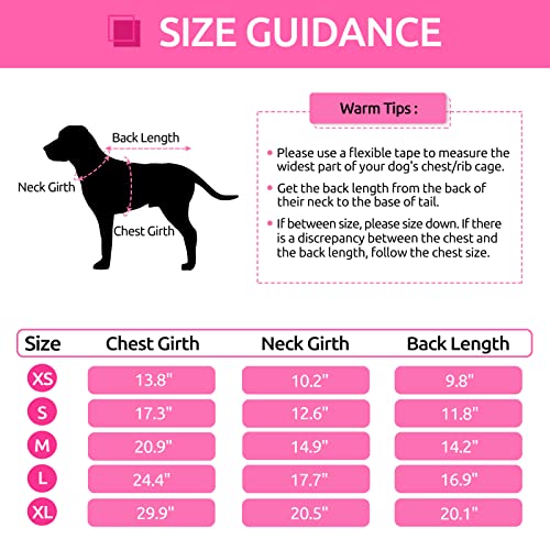 Queenmore Warm Dog Winter Coat, Cold Weather Waterproof Dog Snow Jacket, Reflective Dog Hoodie with Long Sleeves for Small Medium and Large Dogs