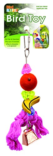 PENN-PLAX Small Bird Starter Kit with Birdcage and Accessories β Great for Parakeets, Lovebirds, Parrotlets, Finches, Canaries, and More β Arch Style Cage β White