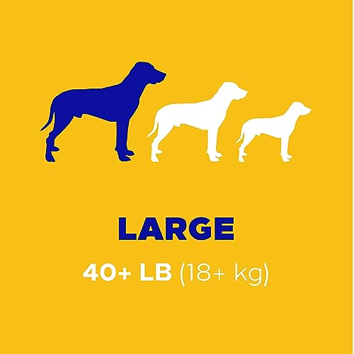 PEDIGREE DENTASTIX Large Dog Dental Treats Beef Flavor Dental Bones, 62.4 oz. Multipack (72 Treats)