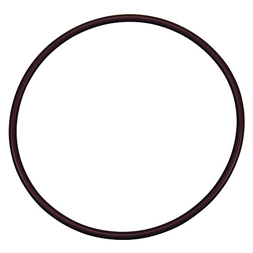Pentair R172240 O-Ring Lid to Housing