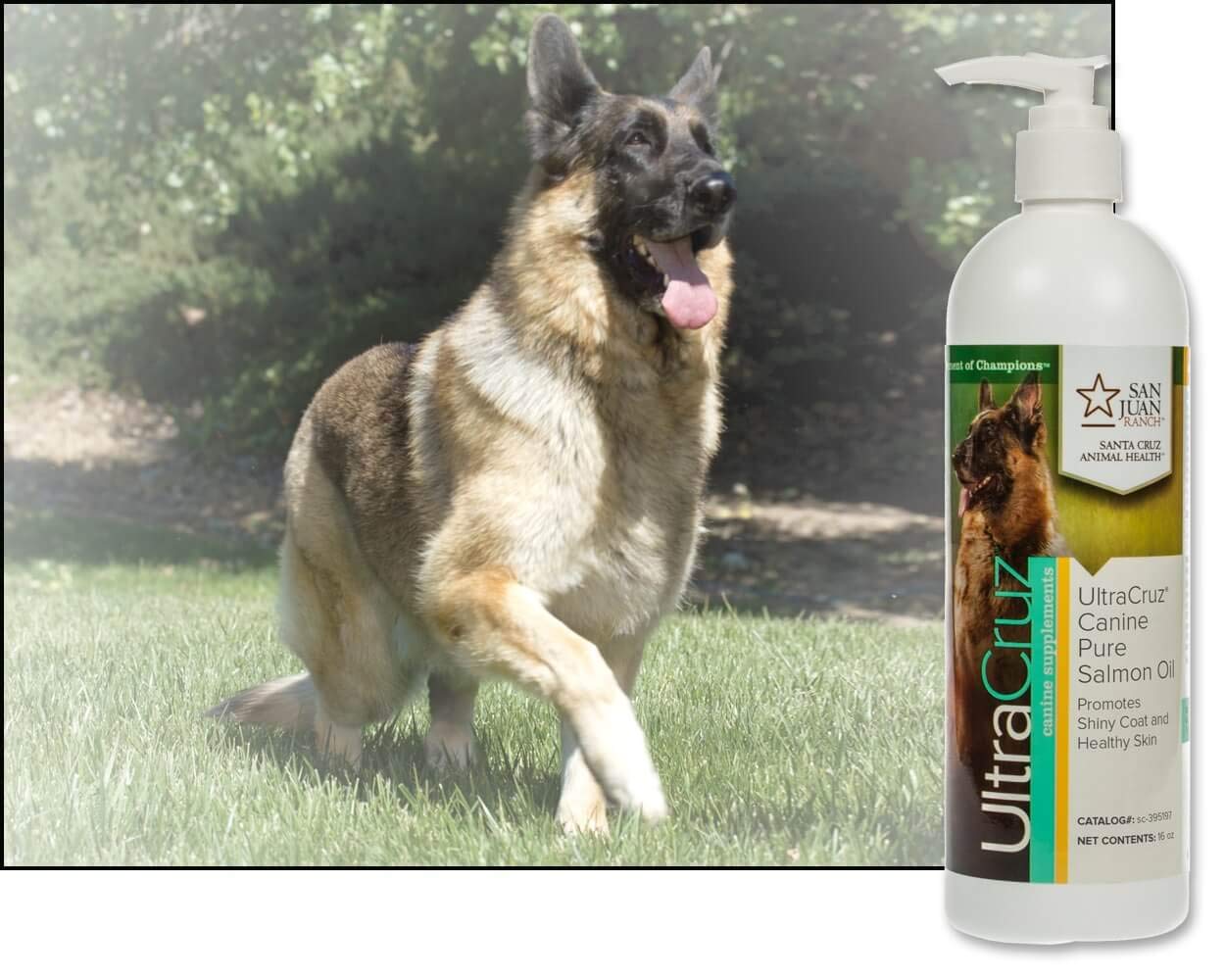 UltraCruz-sc-395197 Canine Pure Salmon Oil Supplement for Dogs, 16 oz