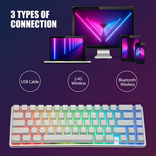 tieti 2.4GHz Wireless/Bluetooth/Mechanical Gaming Keyboard, Hot Swappable Keyboard with RGB Backlit, Full Keys Programmable, 4200mAh Battery, Cherry MX Red Switches