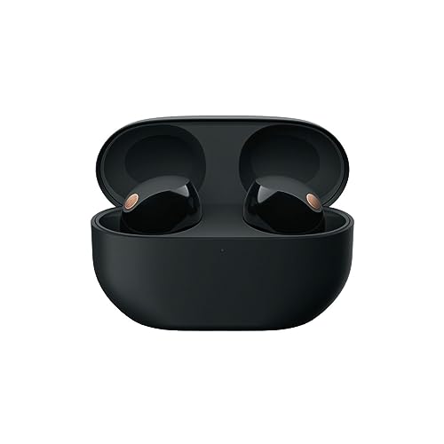 Sony WF-1000XM5 True Wireless Bluetooth Noise Cancelling in-Ear Headphones (Black) with Dual Pad Wireless Charger Bundle (2 Items)