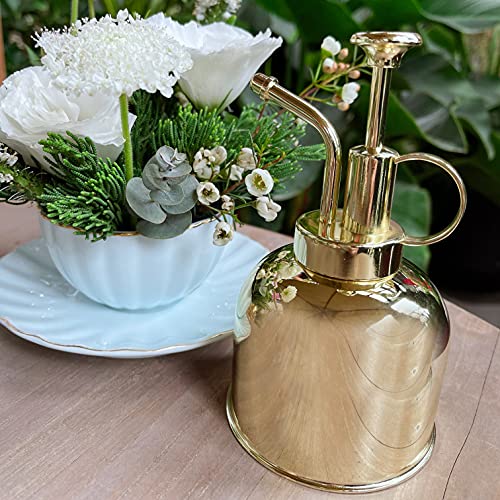 LOOPSEED Stainless Steel Plant Mister Spray Bottle Watering Can for Indoor Plants Succulent Bonsai Garden Spray Houseplant Spritzer Modern Garden Tools 10oz/300ml (GOLD)