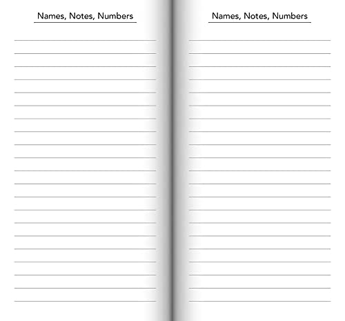 Kitten Cuddles | 2023-2024 3.5 x 6.5 Inch Two Year Monthly Pocket Planner | BrownTrout | Animals Cute Cat Feline
