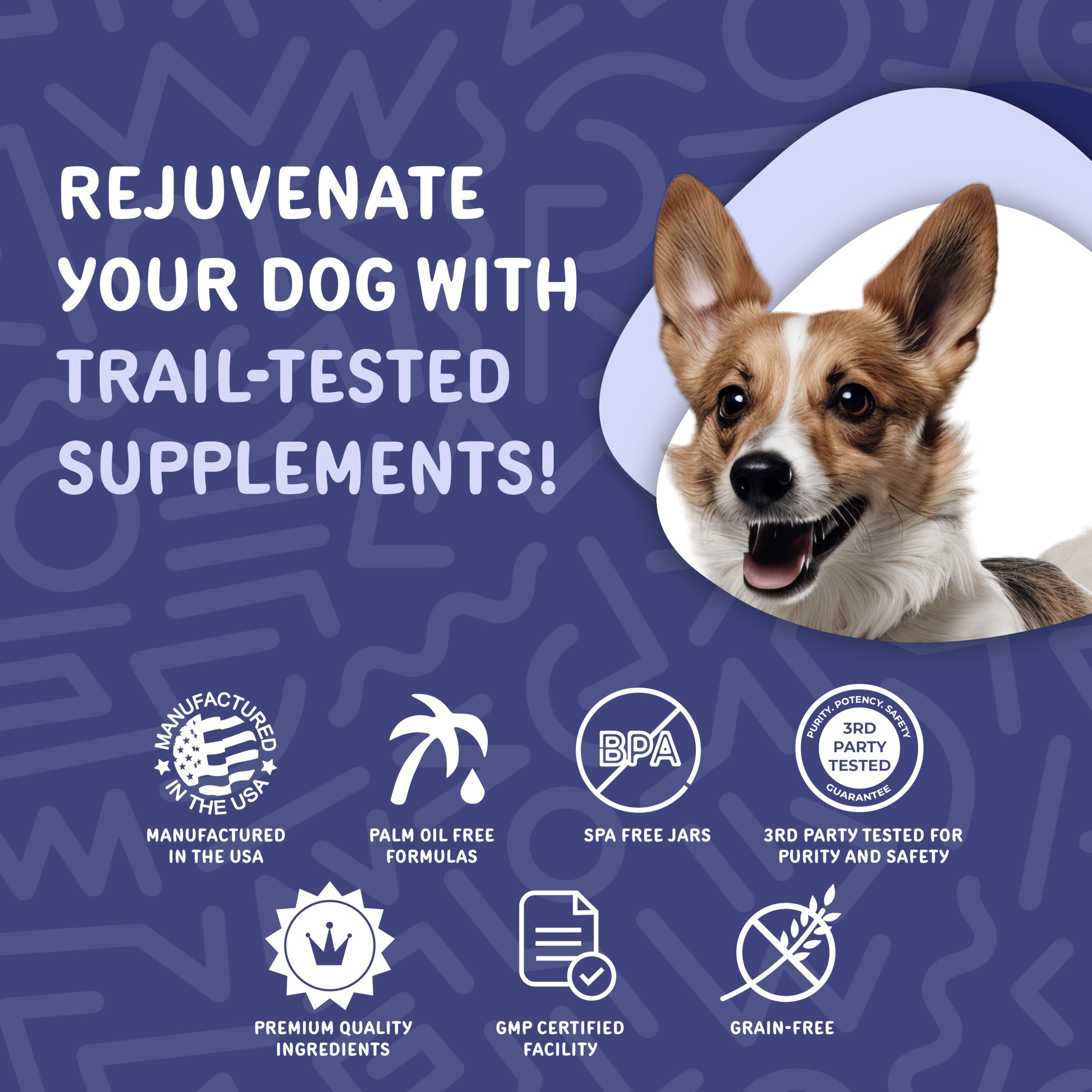 waggedy Advanced Hip and Joint Supplement Dogs with Glucosamine, Chondroitin, MSM & Fatty Acids β Daily Support Dog Health Supplements to Slow Degenerative Process Inside Joints (60 Dog Chews)