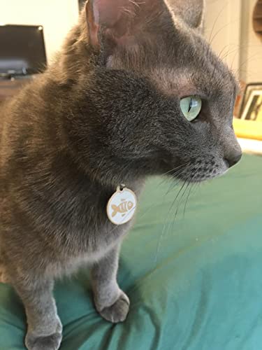 Stainless Steel Cat ID Tags - Engraved Personalized Cat Tags Includes up to 4 Lines of Text with Cat Shape