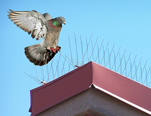 Nixalite Stainless Steel Bird Spikes E-Spike (8 Ft. (4-2 Ft. Strips))