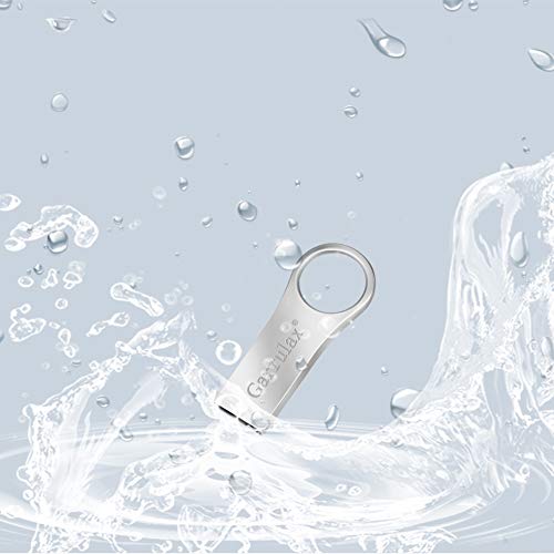 GARRULAX USB Flash Drive, 8GB / 16GB / 32GB / 64GB USB 2.0 Metal USB Memory Stick Date Storage Pendrive Thumb Drives (32GB, Silver)